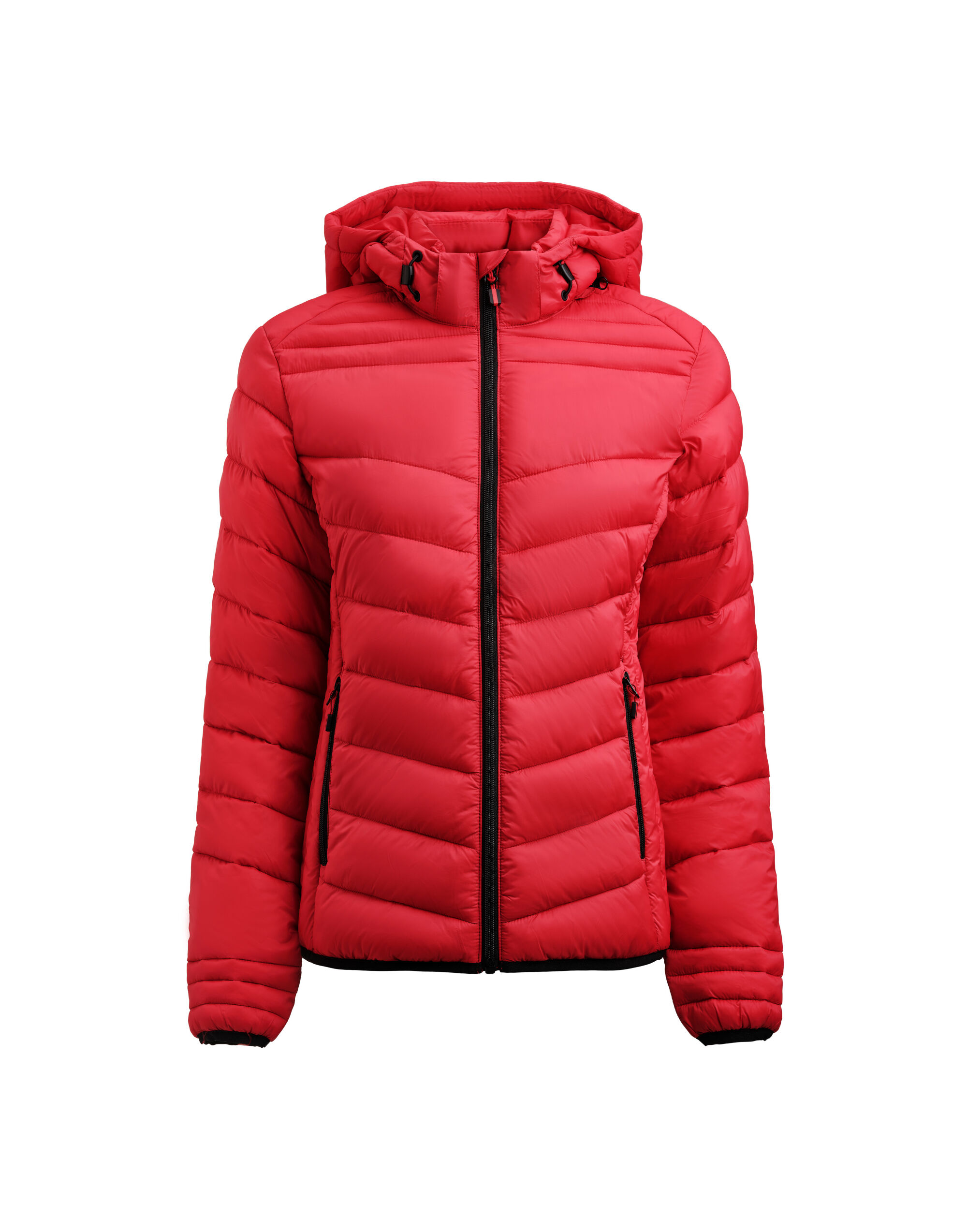 Printer Essentials Ladies Base Jacket - iHivis